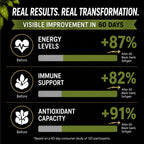 antioxidant properties of black garlic
