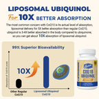 antioxidant properties of coq10 ubiquinol