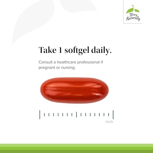 antioxidant properties of coq10