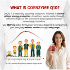 antioxidant properties of coq10