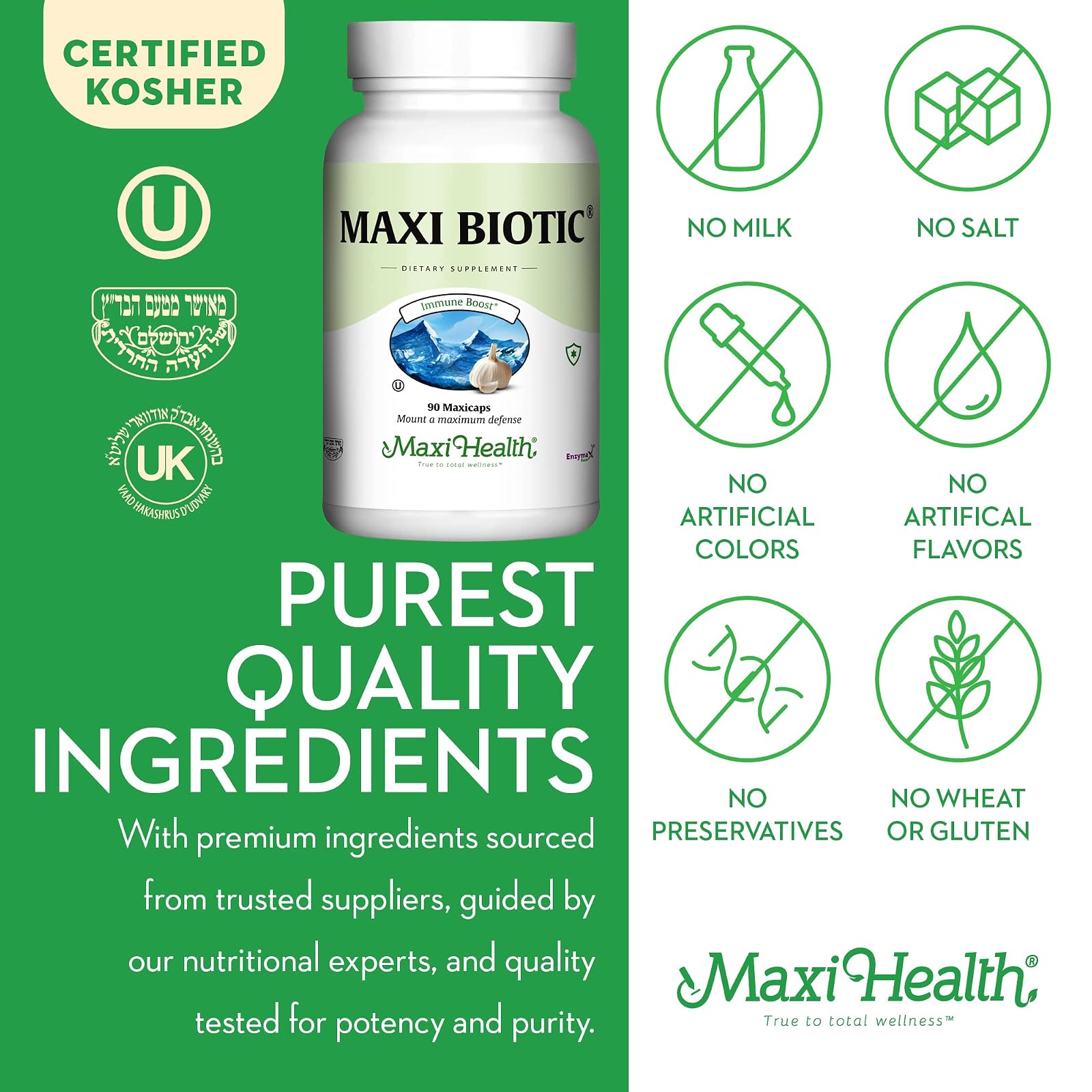 antioxidant properties of garlic extract
