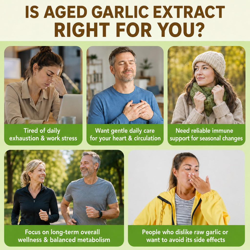 Antioxidant properties of garlic extract