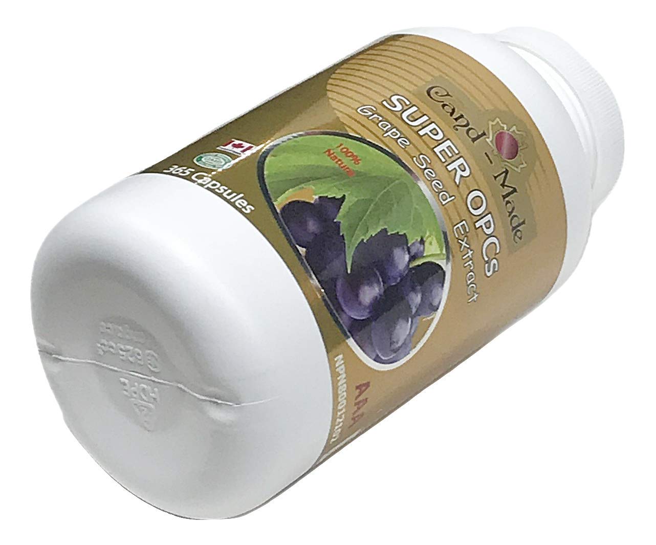 antioxidant properties of grape seed extract