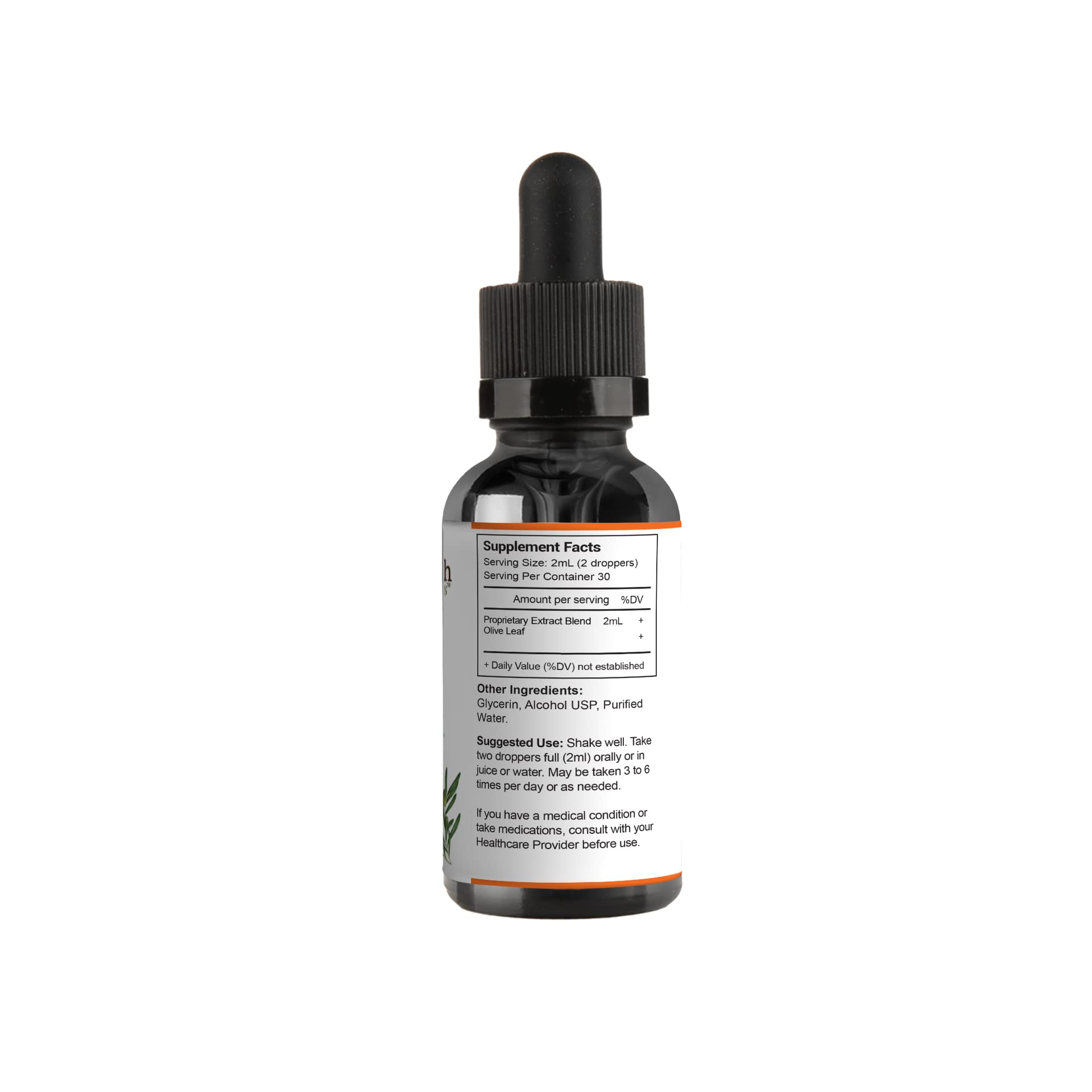 antioxidant properties of olive leaf extract
