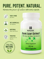 antioxidant properties of olive leaf