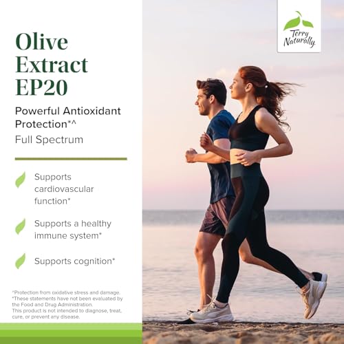antioxidant properties of olive leaf