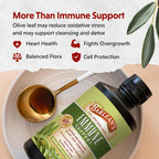 antioxidant properties of olive leaf