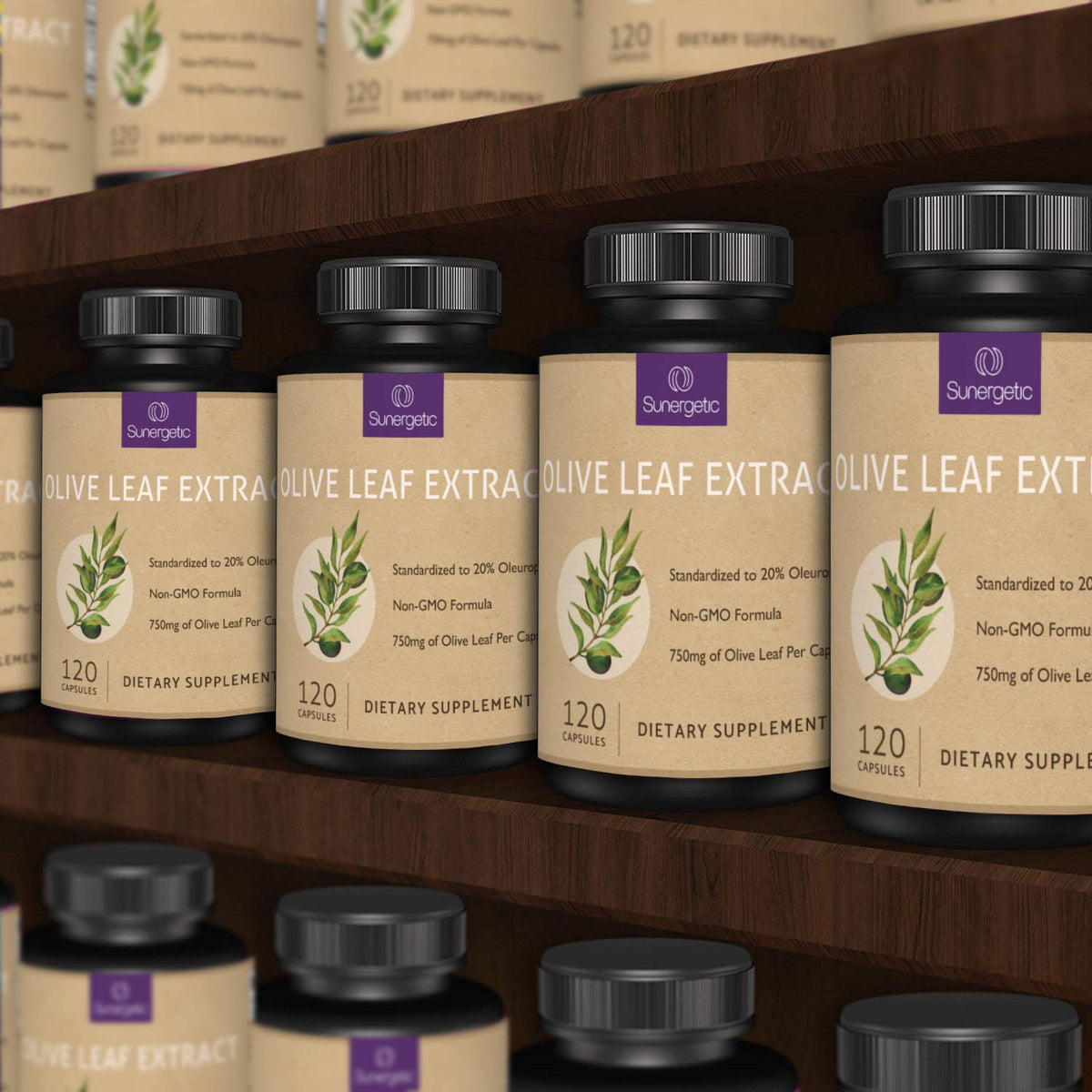 antioxidant properties of olive leaf