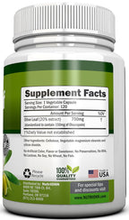 antioxidant properties of Olive Leaf