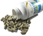 antioxidant properties of olive leaf
