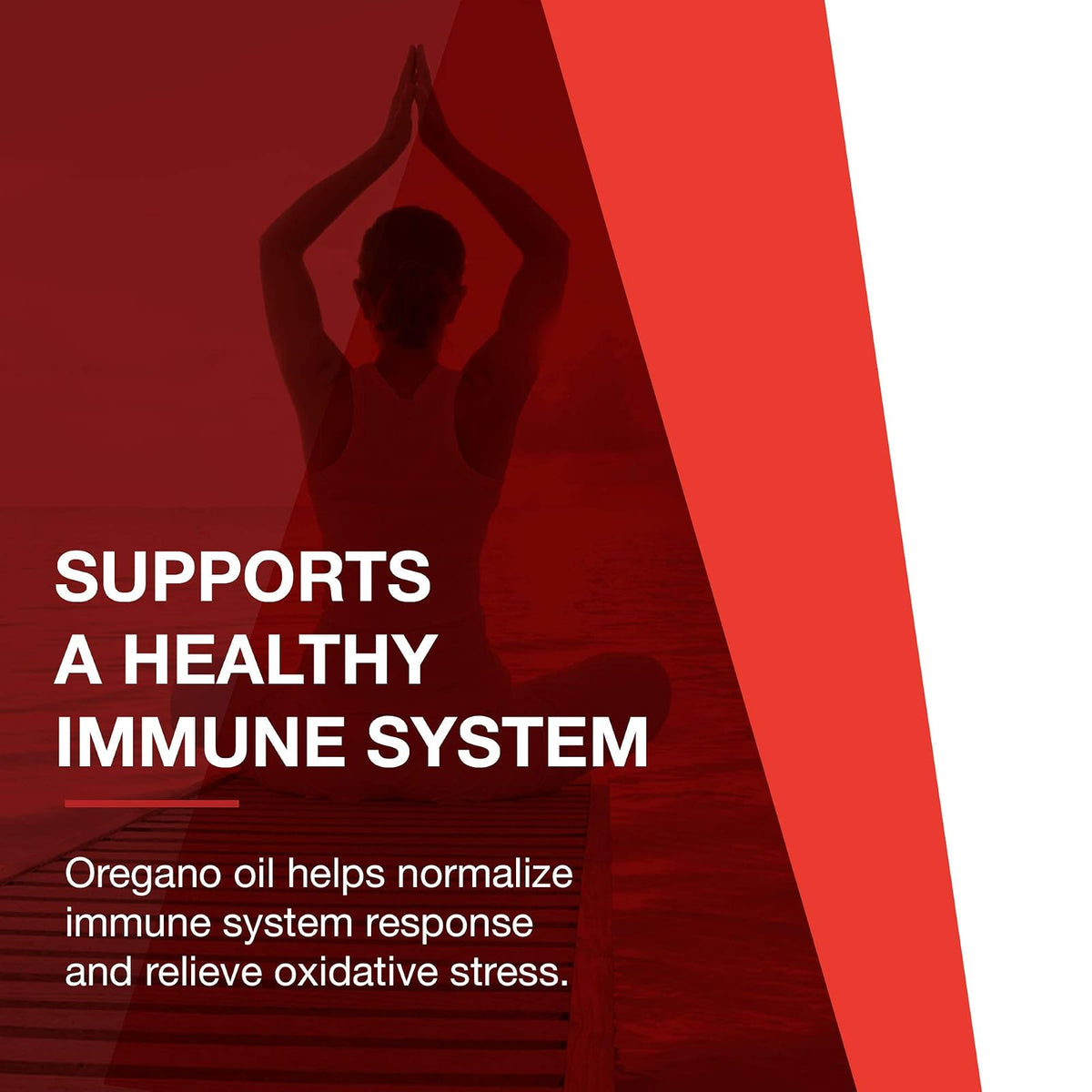 antioxidant properties of oregano oil