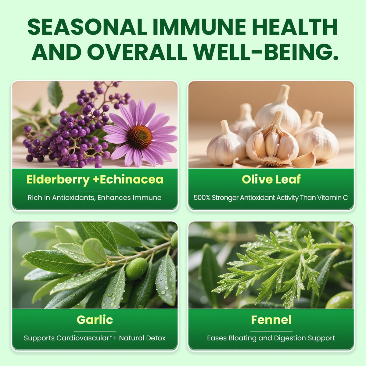 antioxidant properties of oregano oil