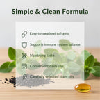 antioxidant properties of oregano