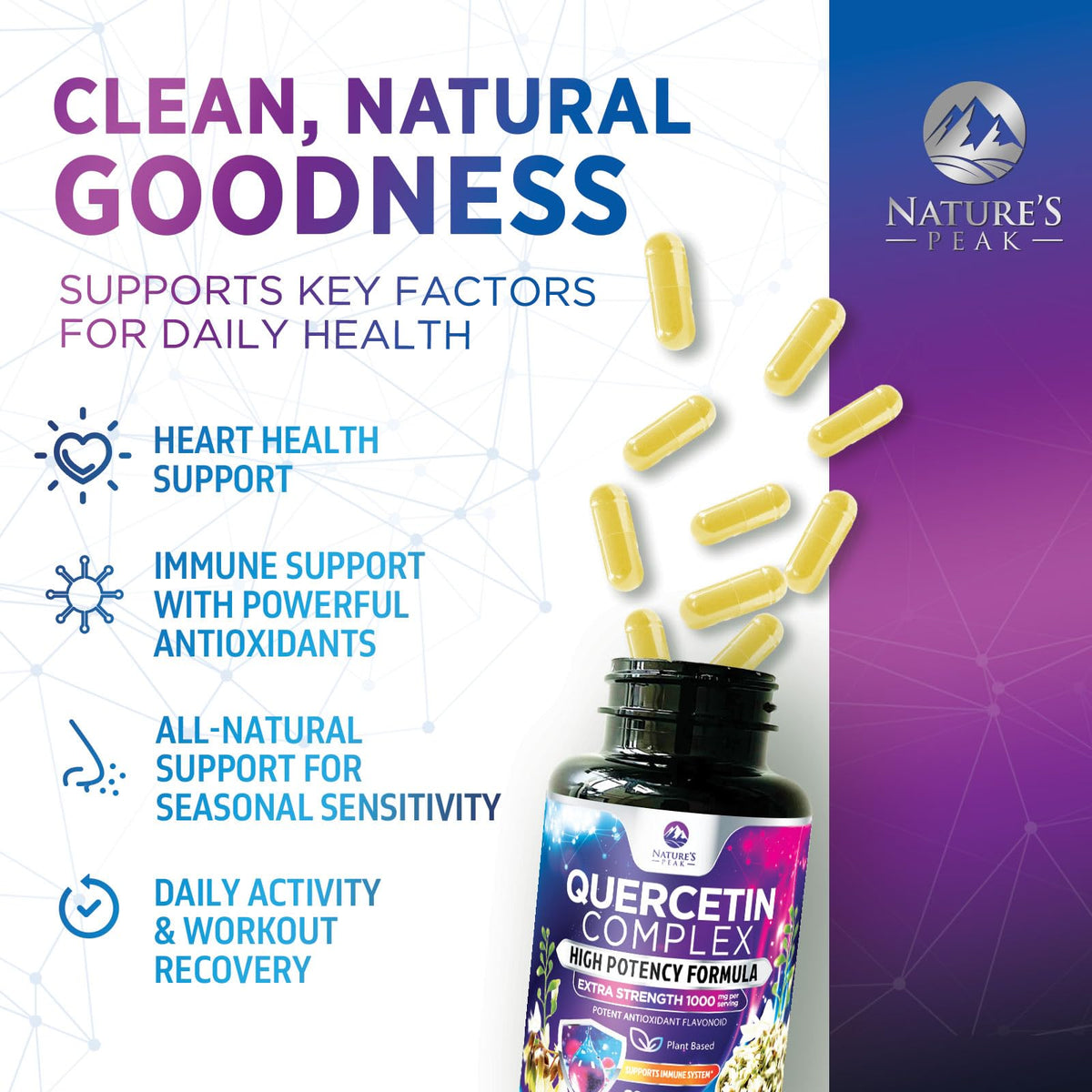 antioxidant properties of quercetin