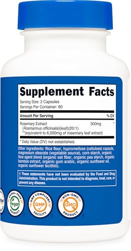antioxidant properties of rosemary