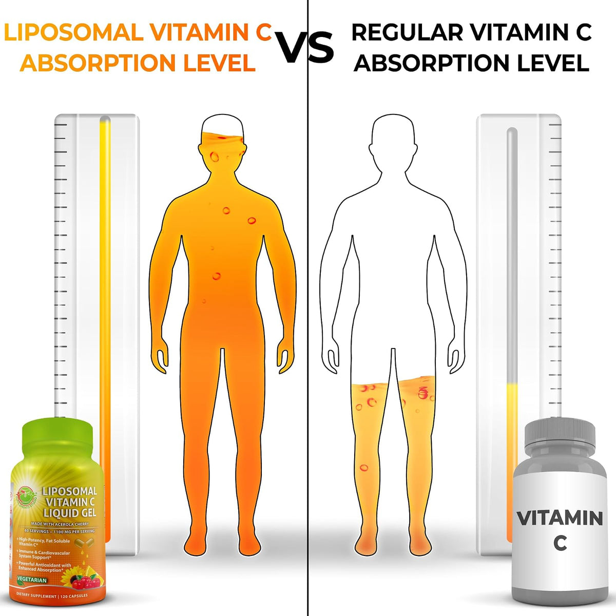 antioxidant protection liposomal vitamin c
