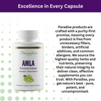 antioxidant-rich Amla for healthy skin