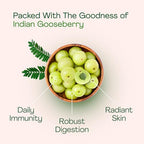 antioxidant-rich amla for wellness