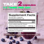 antioxidant-rich Aronia Berry capsules