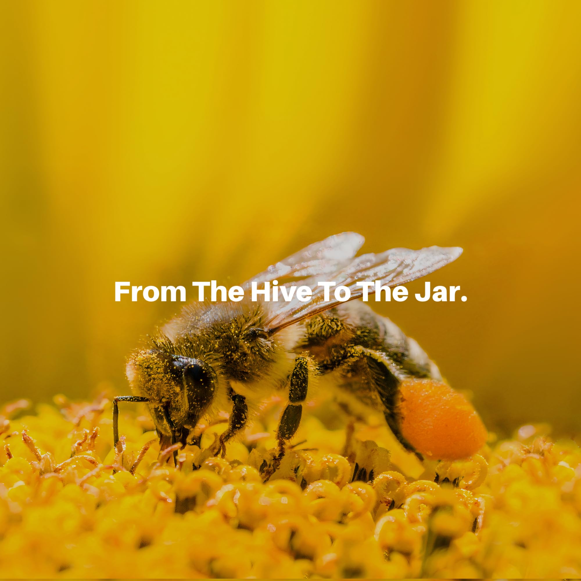 antioxidant-rich bee pollen for vitality
