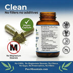 antioxidant-rich bilberry capsules for wellness
