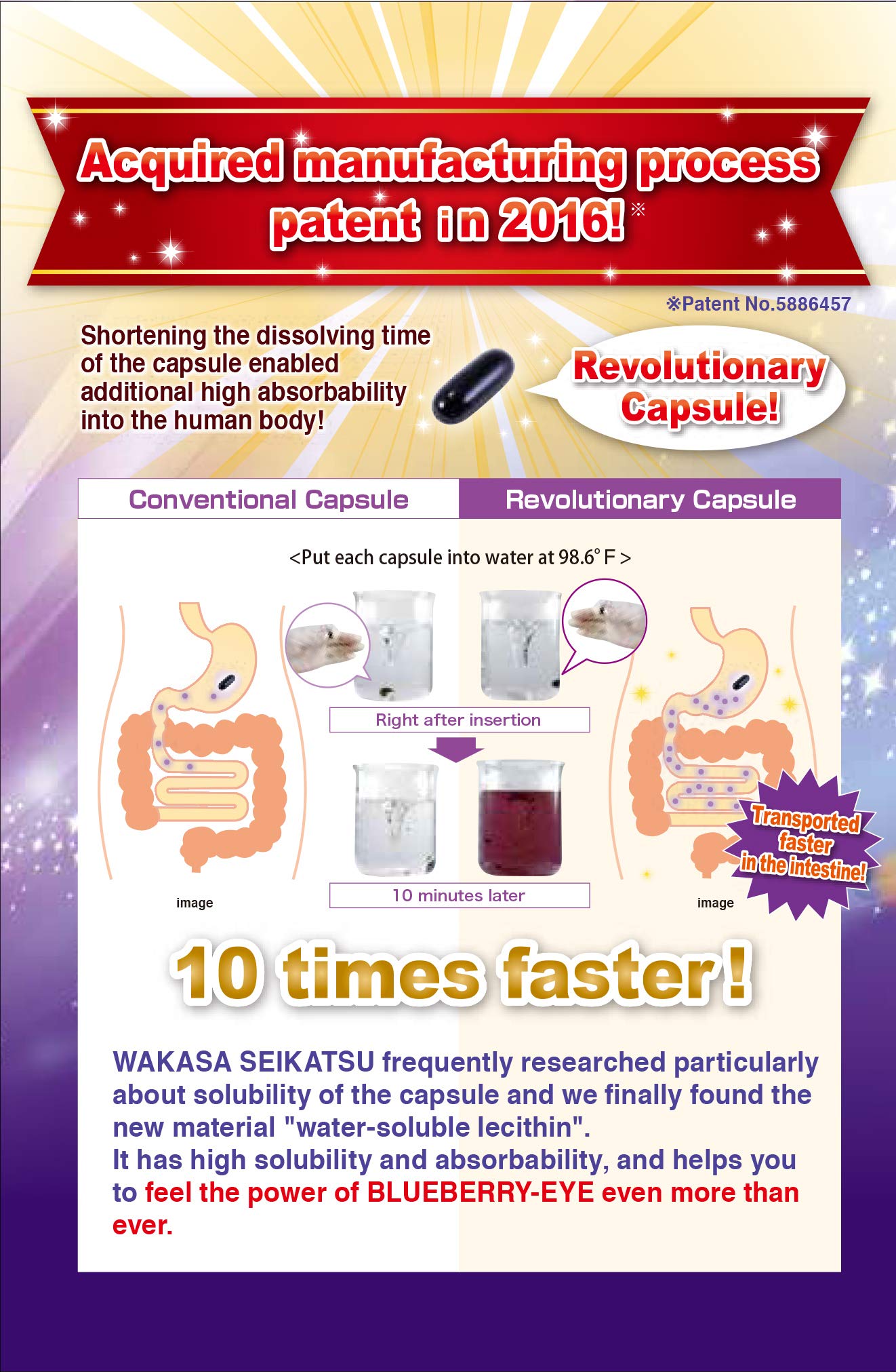antioxidant-rich bilberry extract