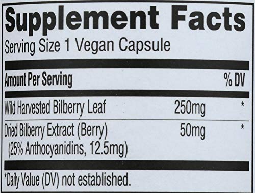 antioxidant-rich bilberry fruit extract