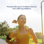 antioxidant-rich bilberry fruit extract