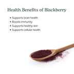 antioxidant-rich blackberry powder benefits