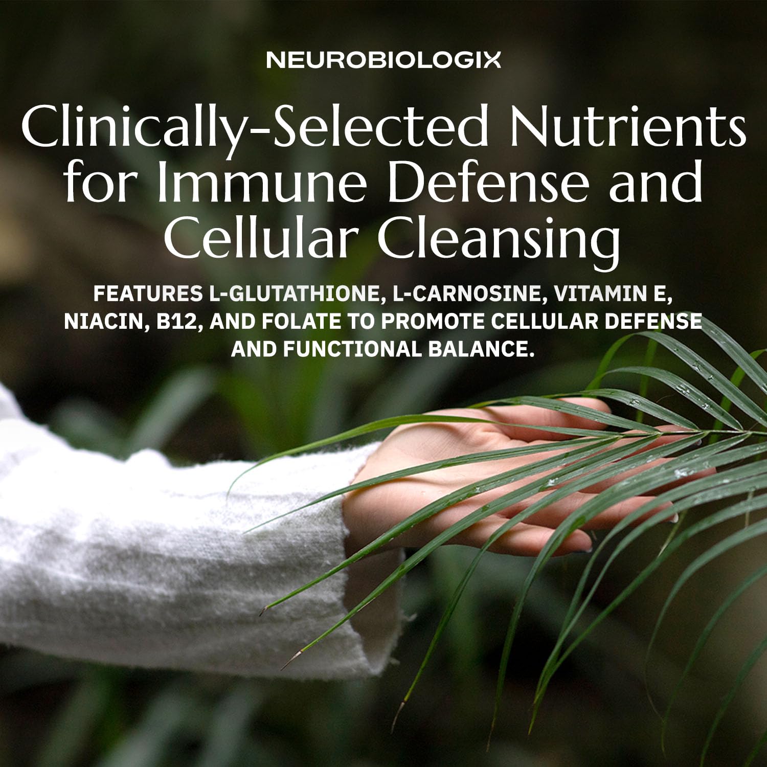 antioxidant-rich blended vitamin supplements