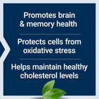 antioxidant-rich blueberry extract
