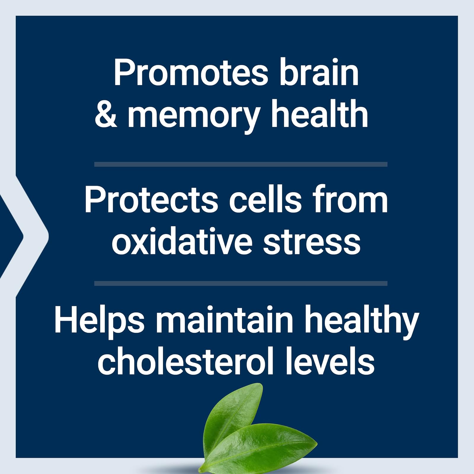 antioxidant-rich blueberry extract
