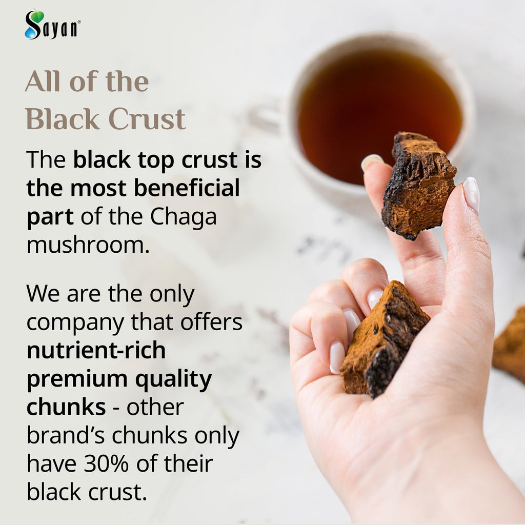 Antioxidant-rich chaga mushroom benefits