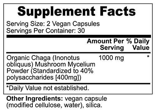 Antioxidant-rich chaga mushroom benefits