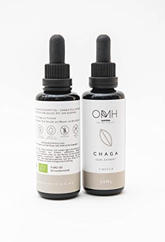 Antioxidant-rich chaga mushroom extract