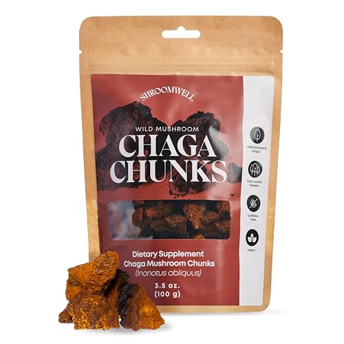 antioxidant-rich chaga mushroom tea