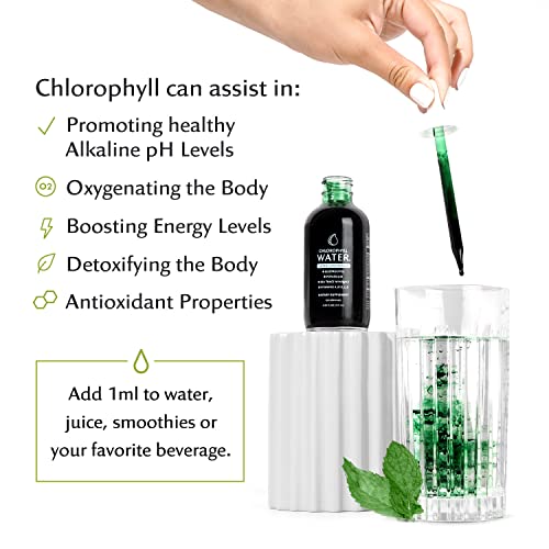 antioxidant-rich chlorophyll water drops