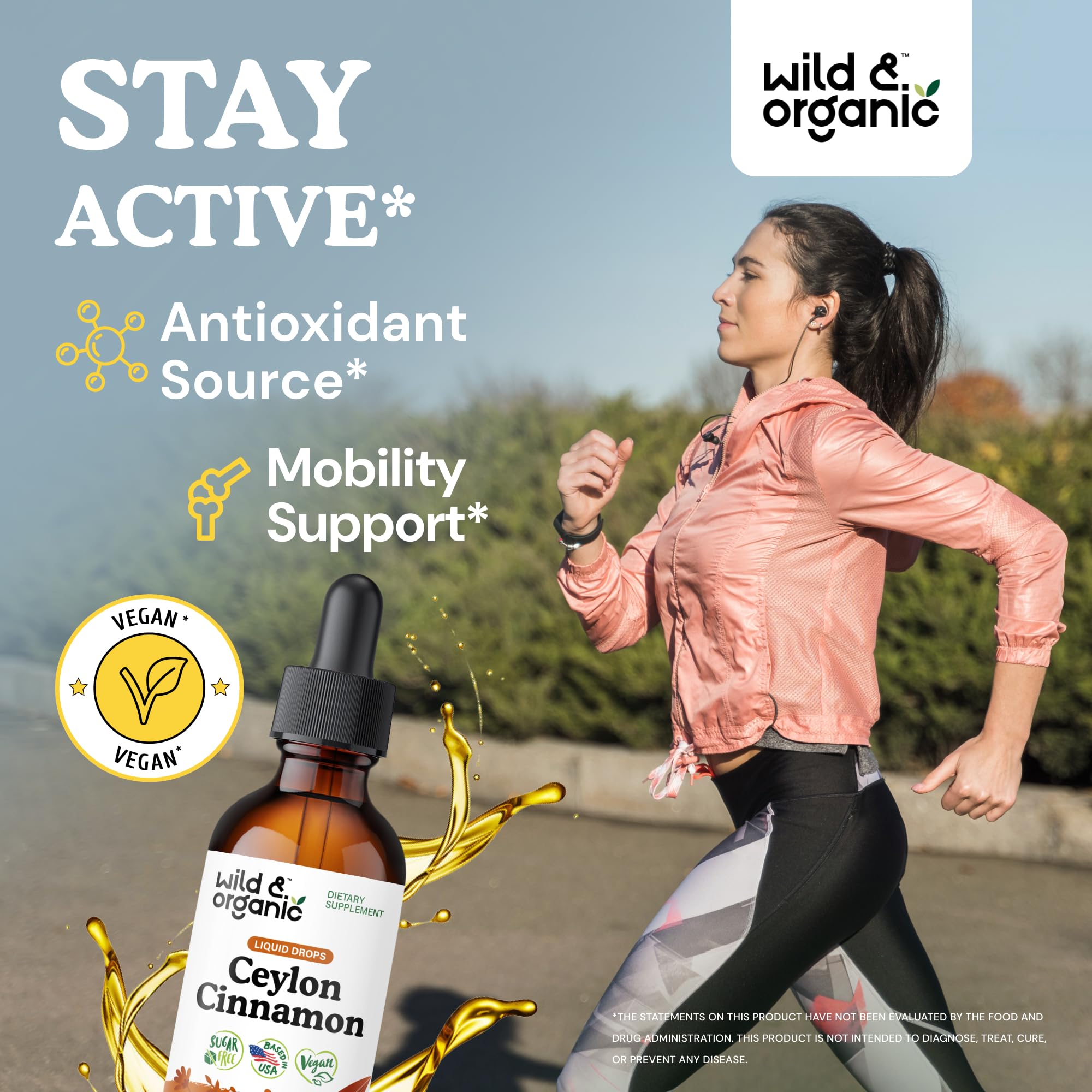 Antioxidant-rich cinnamon extract
