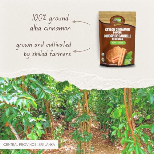 antioxidant-rich cinnamon spice