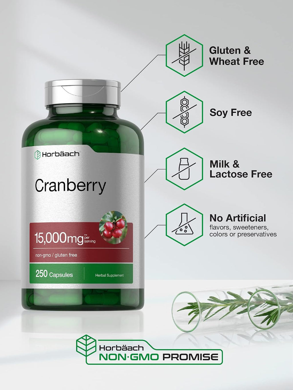 antioxidant-rich cranberry capsules benefits