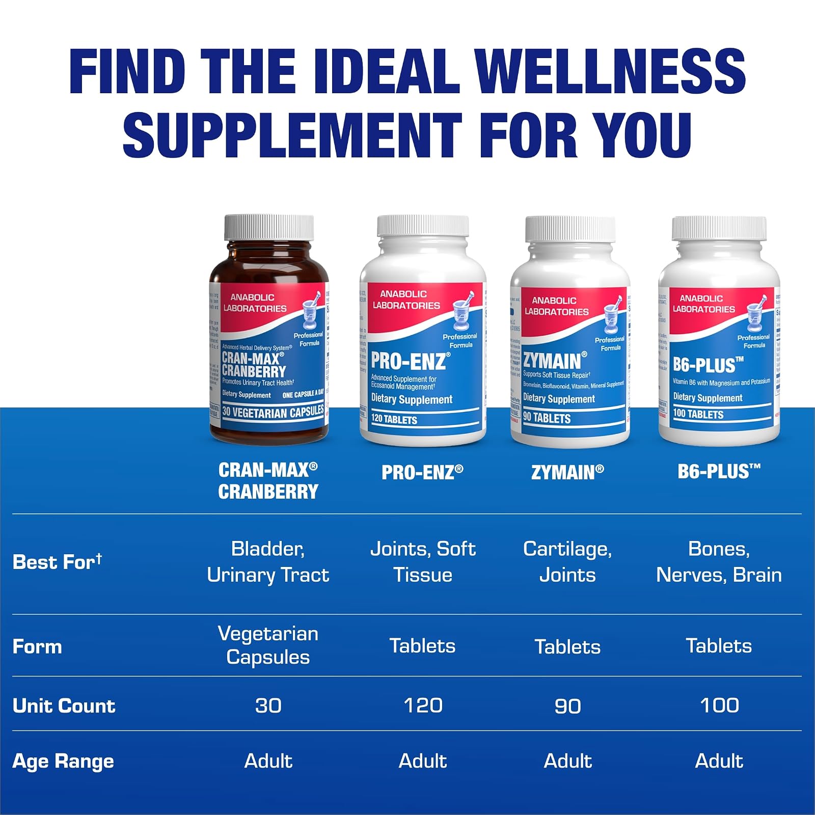 antioxidant-rich cranberry extract formula