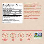 antioxidant-rich cranberry extract