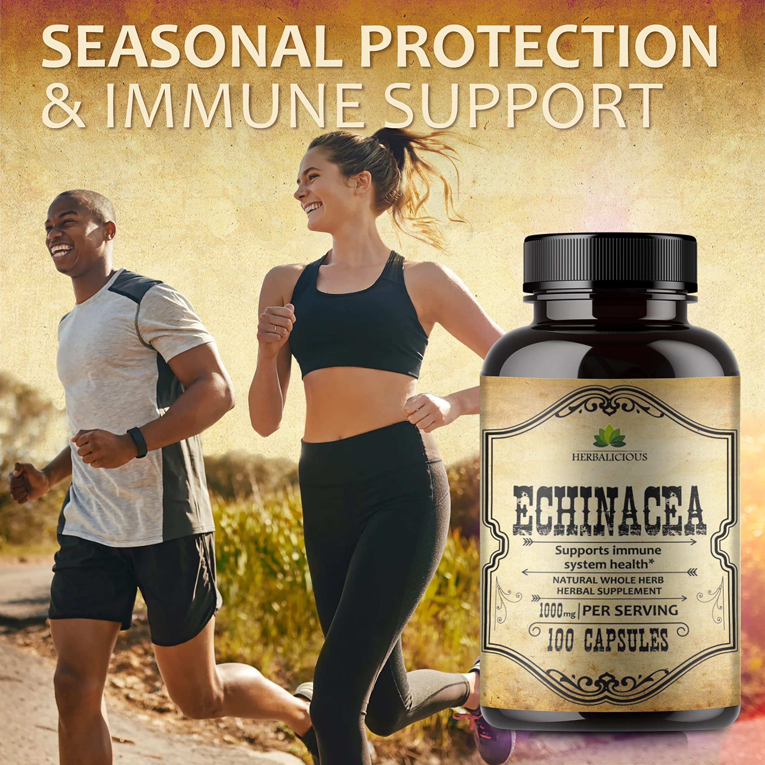 antioxidant-rich echinacea health benefits