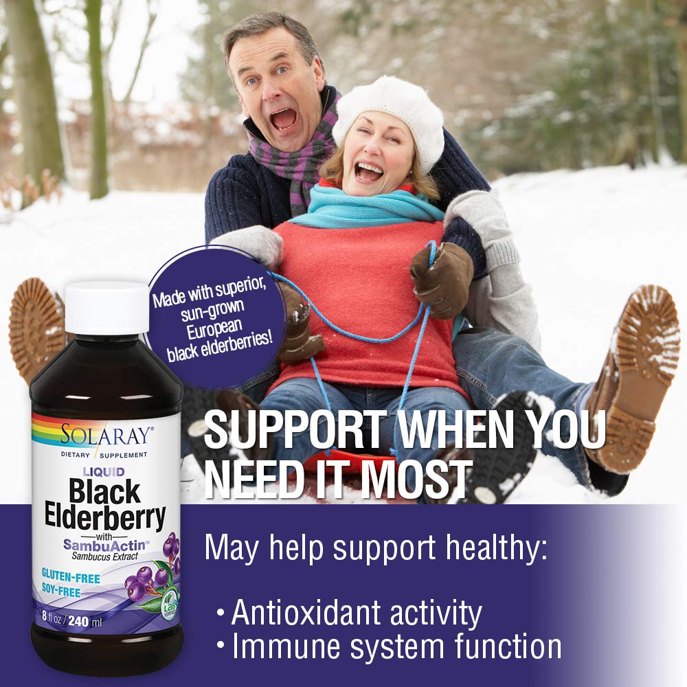 antioxidant-rich elderberry extract benefits