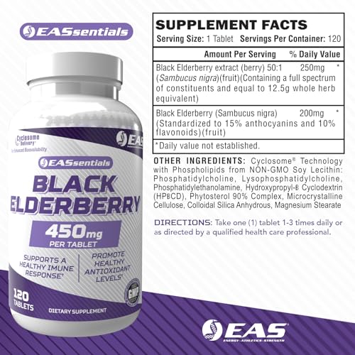 antioxidant-rich elderberry health booster