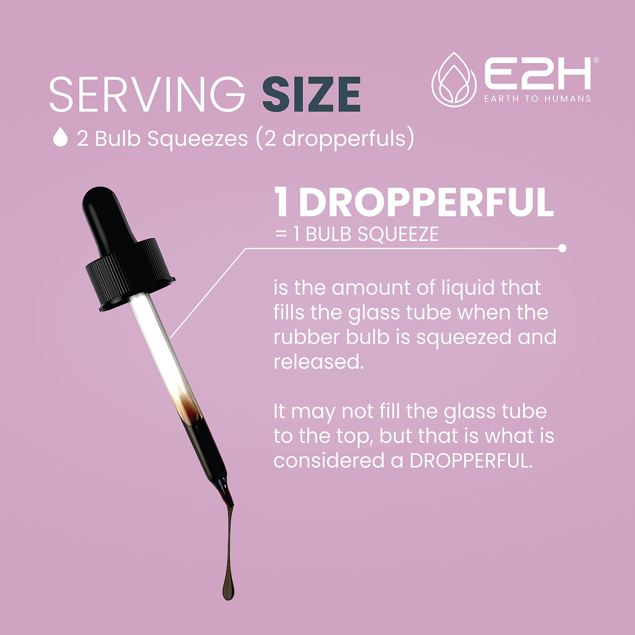 antioxidant-rich elderberry syrup benefits