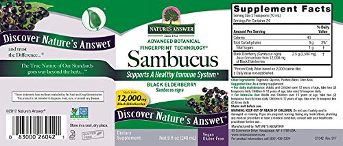 antioxidant-rich elderberry syrup for health