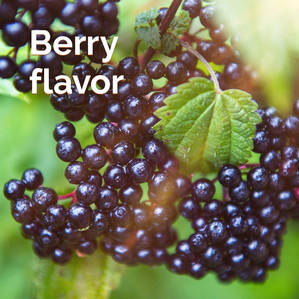 Antioxidant-rich elderberry vitamin C