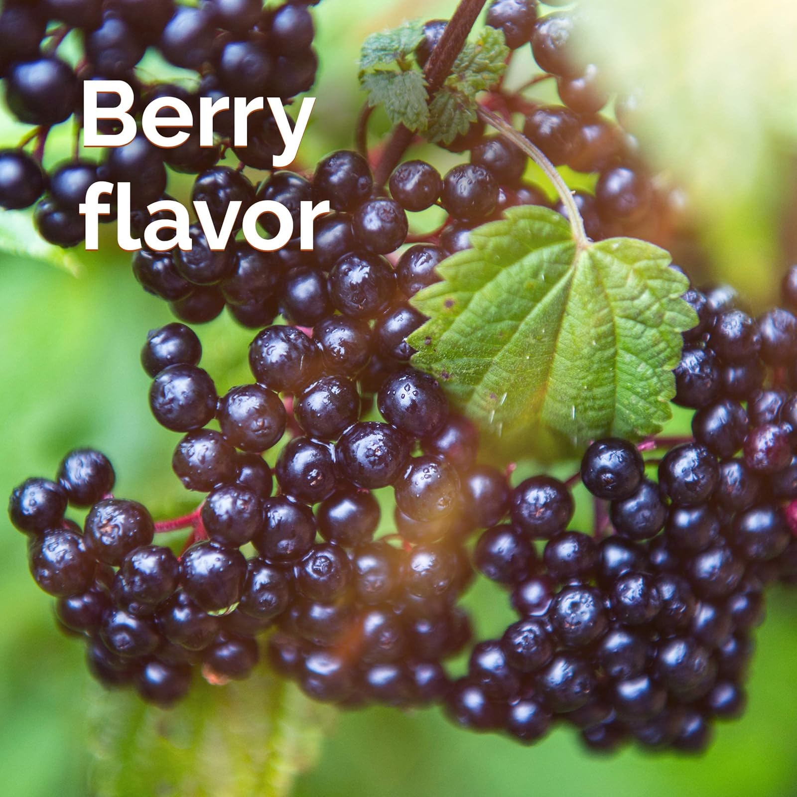 Antioxidant-rich elderberry vitamin C