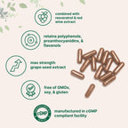 antioxidant-rich grape seed supplement